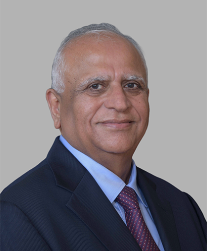 Our Team - Paragon Partners (India)